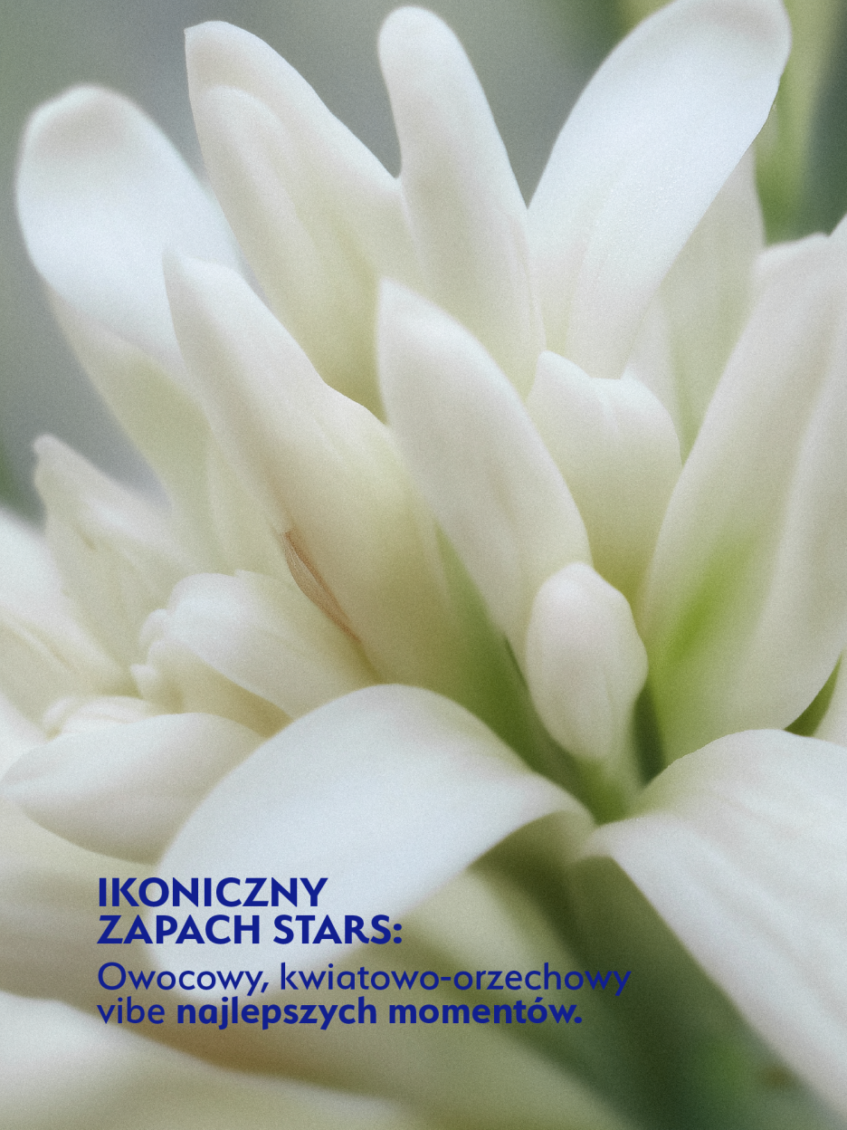 Stars Cement termiczny HOT LOCK 150 ml